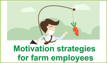 5 MOTIVATION STRATEGIES FOR FARM EMPLOYEES – Justagric