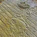 How To Make Corn Silage Ration For Beef Cows (Steps & Video) – Justagric