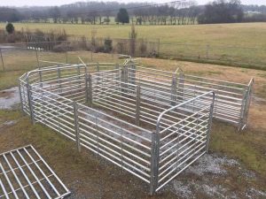 Cattle Restraint Equipment: Design, Types, and Prices – Justagric