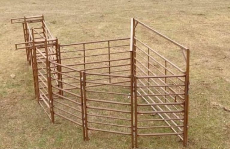 Cattle Restraint Equipment: Design, Types, and Prices – Justagric