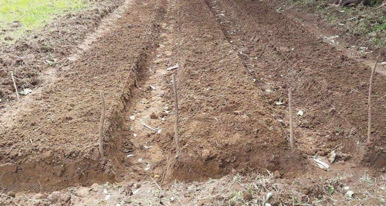 The Three (3) Main Land Preparation Methods in Agriculture – Justagric