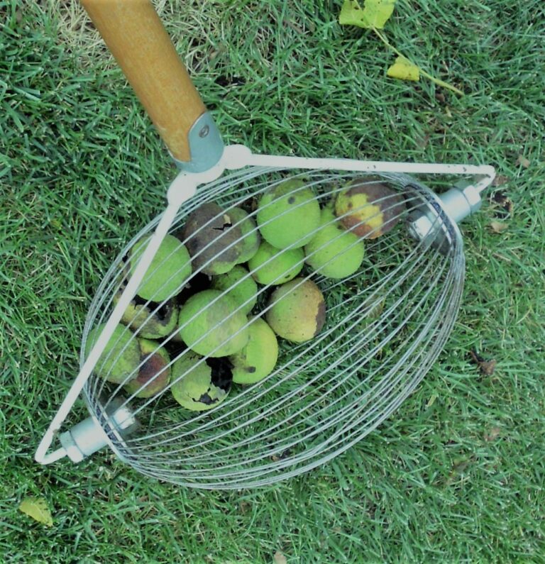 Eight (8) Types of Tools Used For Harvesting Crops (Pictures) – Justagric