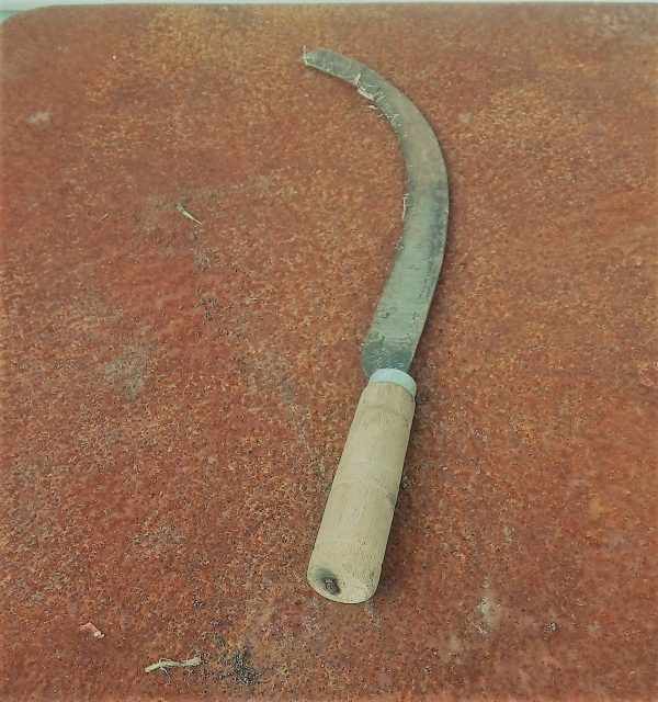 Eight (8) Types of Tools Used For Harvesting Crops (Pictures) – Justagric