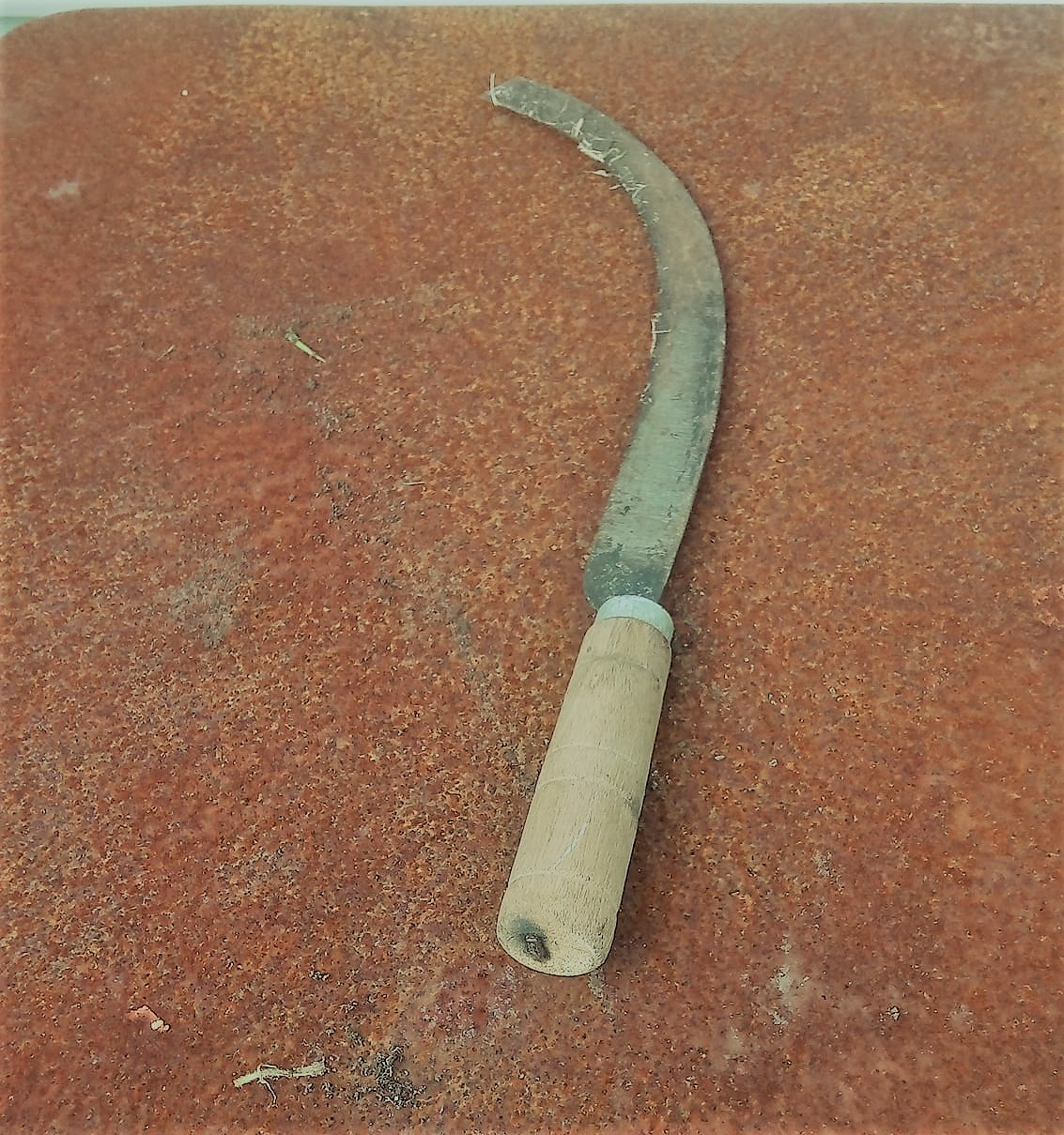 Eight (8) Types of Tools Used For Harvesting Crops (Pictures) – Justagric