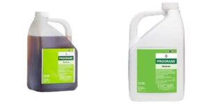 Post Emergent Herbicides For Poa Annua - Justagric