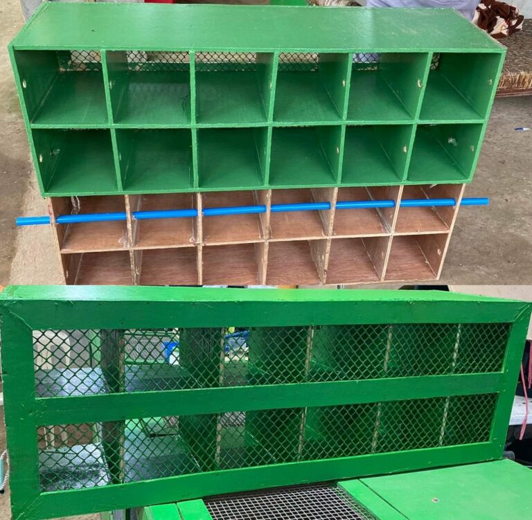 Mexican Gamefowl Cages: Description & Maintenance – Justagric