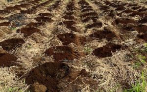 The Three (3) Main Land Preparation Methods in Agriculture – Justagric